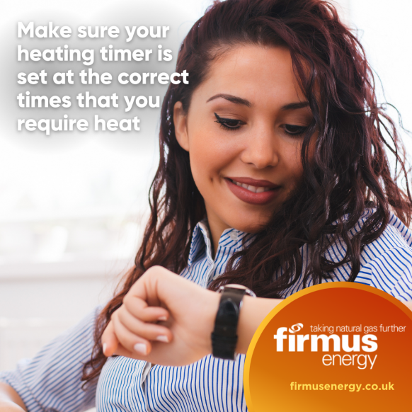 Natural Gas Puts You In Control | firmus energy