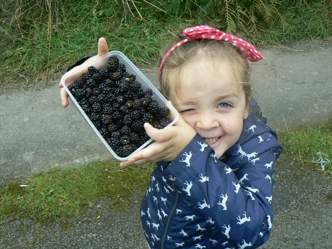 Gareth Austin - The Joy of Blackberry picking - a forgotten pastime ...