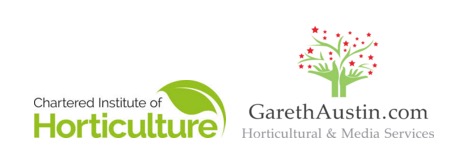 Gareth Austin - Multi coloured Lawns…leave well alone and help the ...